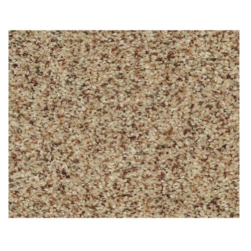 Shaw Winner's Circle (A) 27230 Maple Syrup Textured Nylon Carpet ...