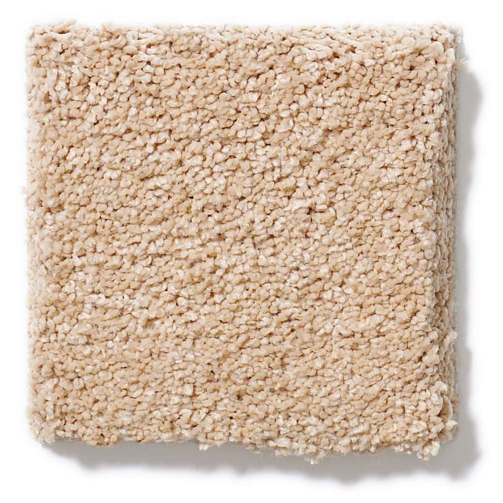 Shaw Caress By Shaw Quiet Comfort Classic II 00600 Maplewood North ...