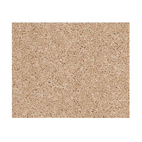 Shaw Castle PV II 00600 Maplewood North Textured Nylon Carpet — Stone ...