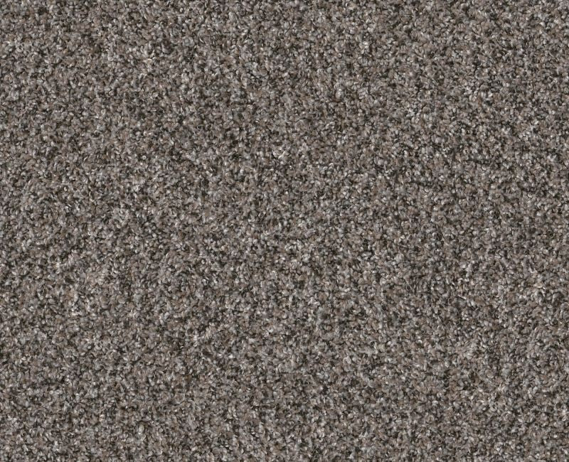 Shaw Yes You Can Ada 1 15 00103 Marble Textured Polyester Carpet ...
