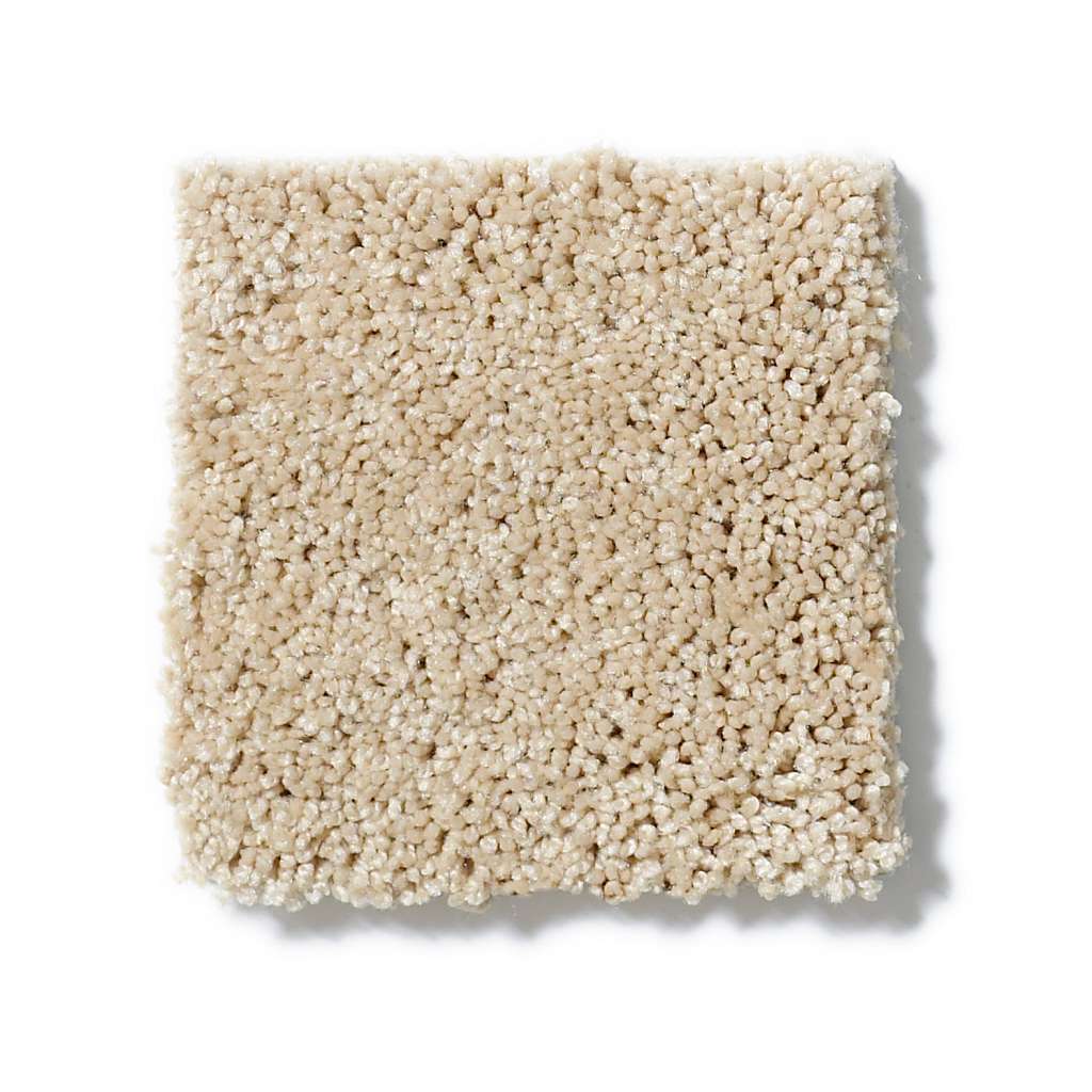 Shaw Soft Shades My Choice II 00105 Mesa Textured Nylon Carpet — Stone ...