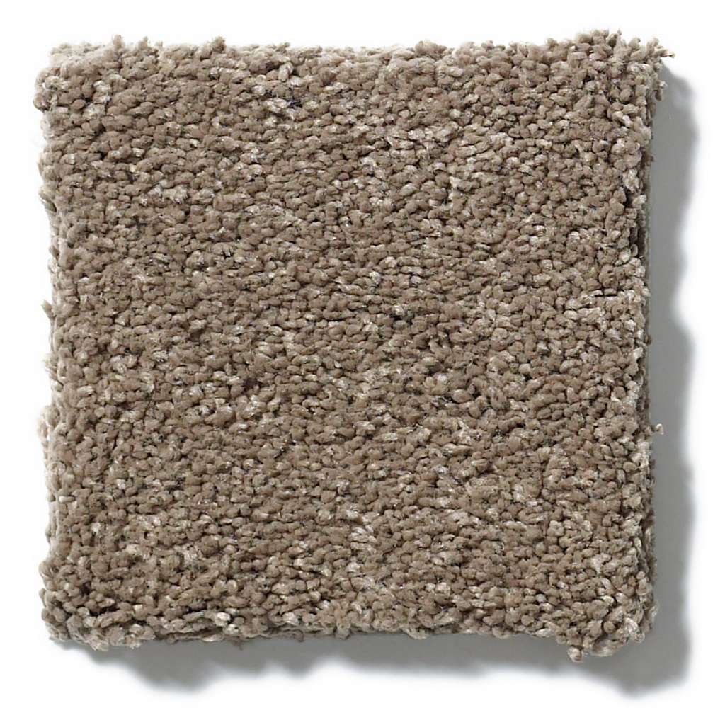 Shaw Caress By Shaw Quiet Comfort Classic IV 00724 Mesquite Carpet ...