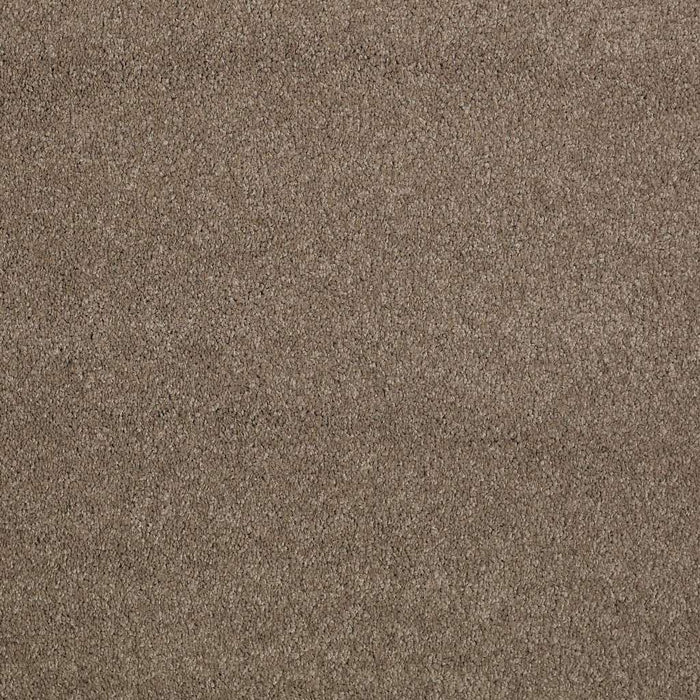Shaw Caress By Shaw Quiet Comfort Classic IV 00724 Mesquite Carpet ...