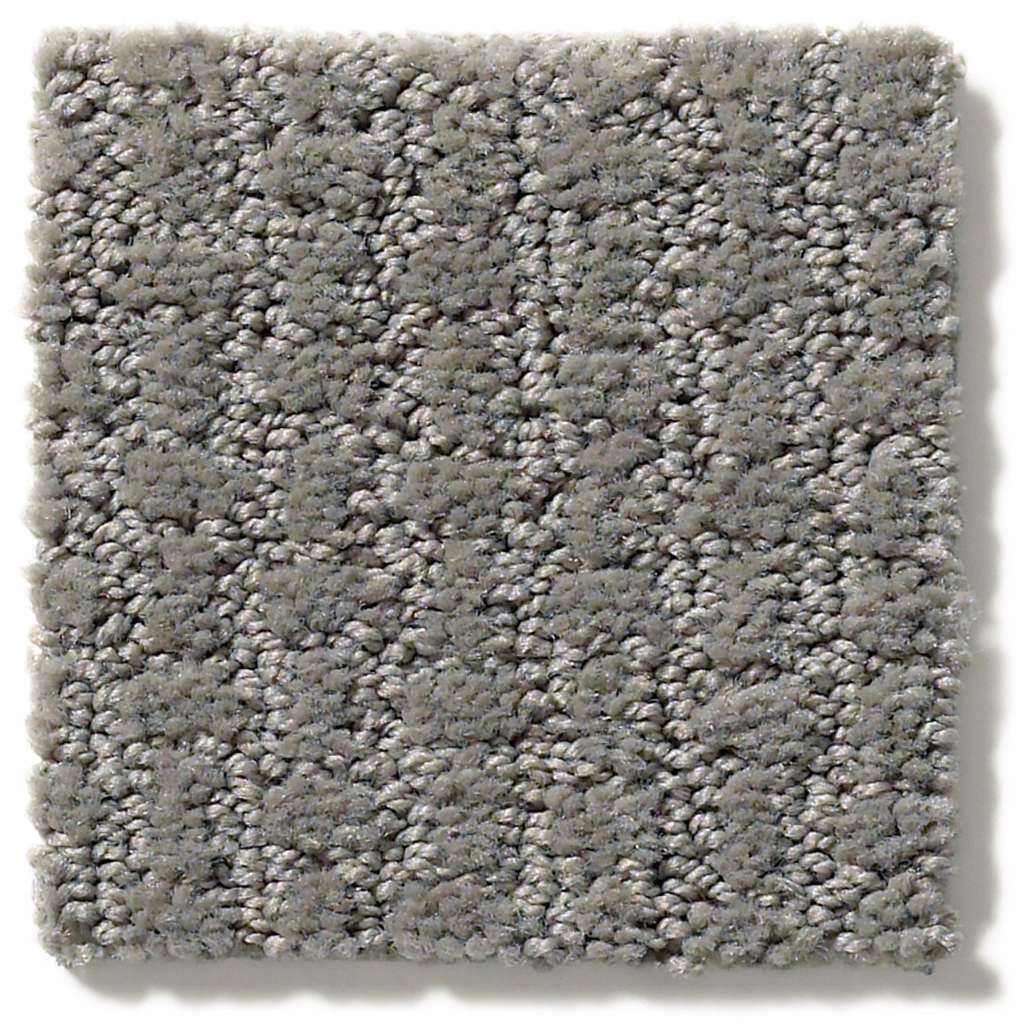 Shaw Foundations Complete Control 00577 Metal Pattern Nylon Carpet ...