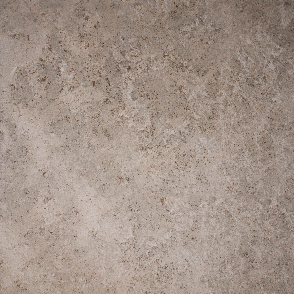 Florenza Ceramic True Mild Grey Matte Porcelain Paver | Lowest Price ...