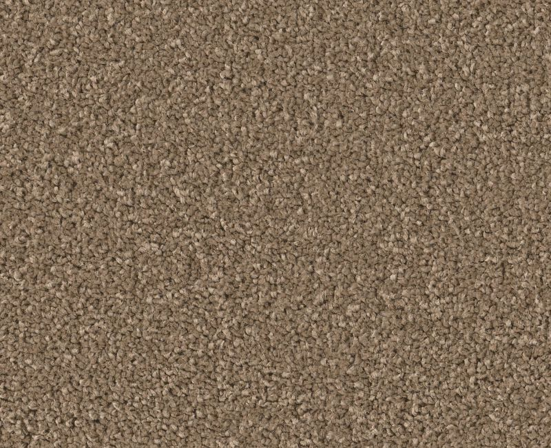 Shaw Posh Life 00705 Mission Ridge Textured Polyester Carpet — Stone ...
