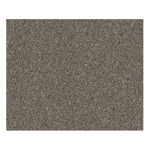 Shaw Without Limits I 00105 Misty Mica Textured Polyester Carpet ...