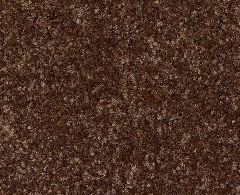 Shaw Leon 15' 00705 Mocha Chip Textured Nylon Carpet | Lowest Price — Stone & Tile Shoppe, Inc.