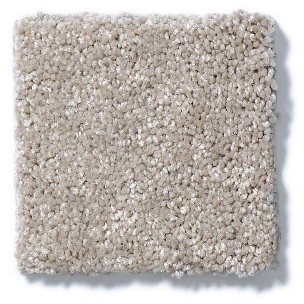 Shaw Laguna Beach 00105 Mocha Cream Textured Nylon Carpet — Stone ...