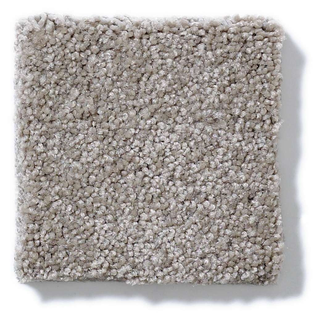 Shaw What's Up 00105 Mocha Cream Textured Nylon Carpet | Lowest Price ...