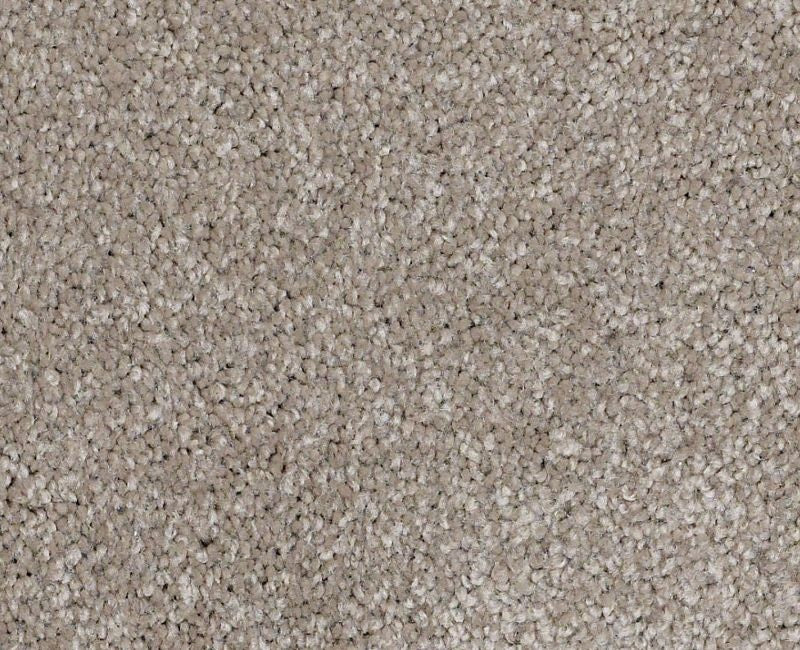 Shaw XV694 00105 Mocha Cream Textured Nylon Carpet | Lowest Price ...