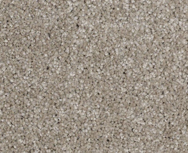 Shaw Anso Open III (S) 00105 Mocha Cream Textured Nylon Carpet — Stone & Tile Shoppe, Inc.