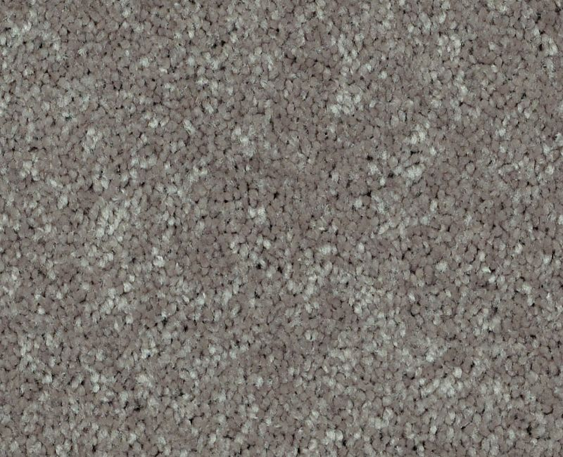 Shaw Main Stay 15' 00702 Mocha Frost Textured Polyester Carpet — Stone ...