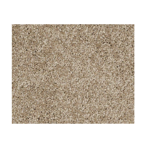 Shaw Butterfly Kisses 1 00766 Mocha Mist Textured Nylon Carpet — Stone & Tile Shoppe, Inc.