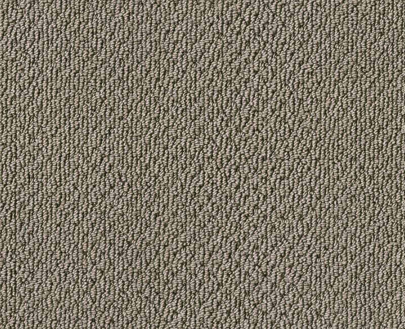 Shaw Playa Azul II 00790 Mocha Loop Nylon Carpet | Lowest Price — Stone ...