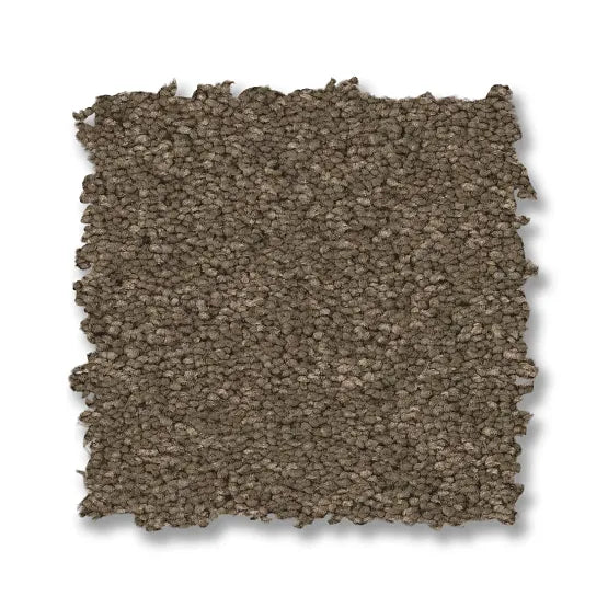 Anderson Tuftex Enduring Charm 00578 Moonbeam Nylon Carpet — Stone ...