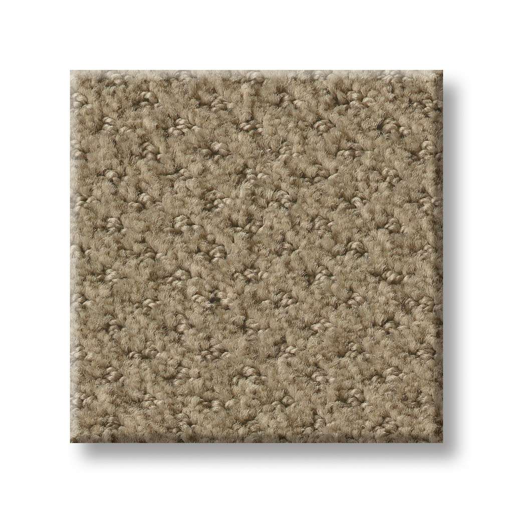 Shaw Genesis 00703 Mushroom Pattern Nylon Carpet | Lowest Price — Stone ...