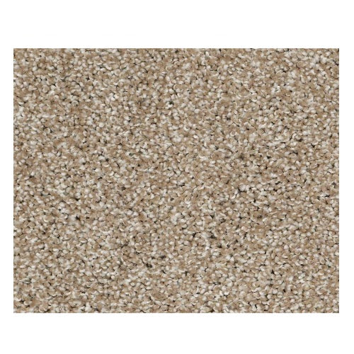 Shaw Striking 00703 Mushroom Textured Nylon Carpet | Lowest Price ...