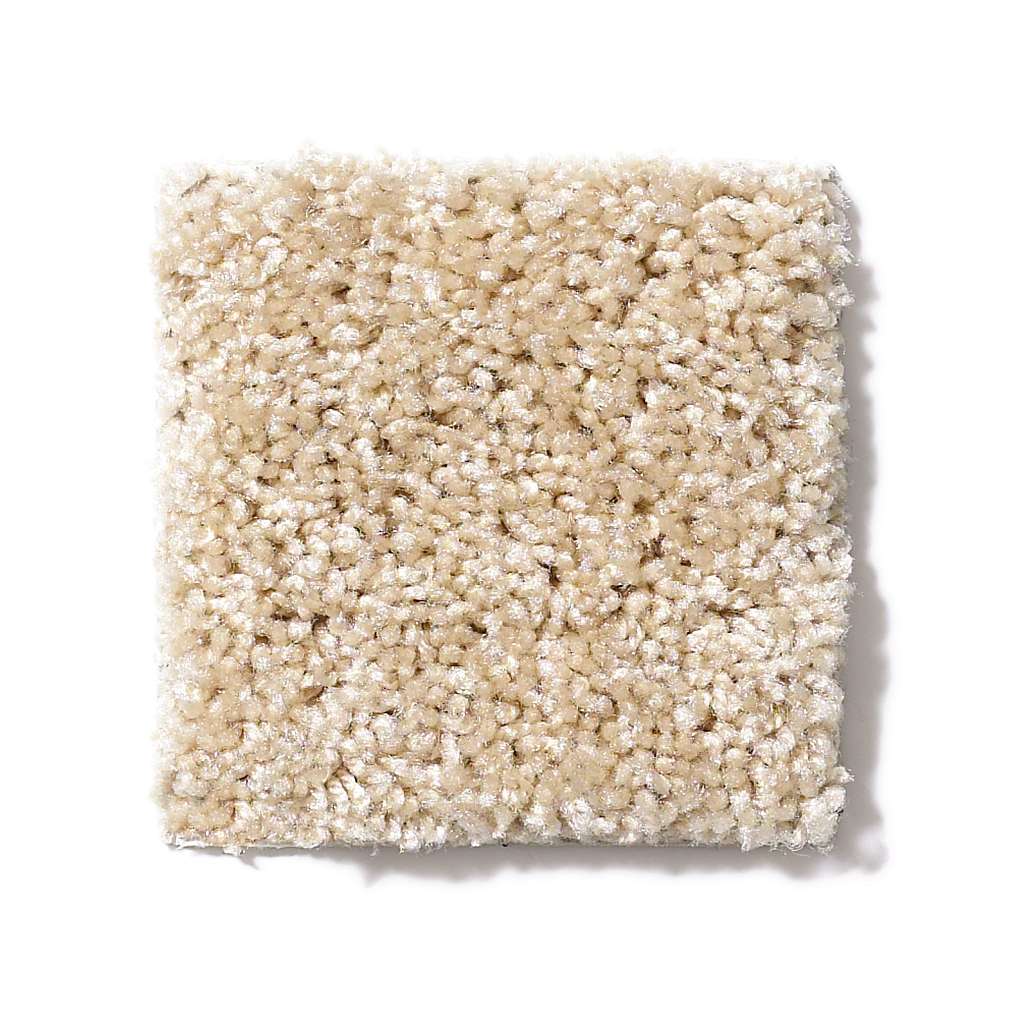 Shaw Dreamin' 12' 00102 Muslin Textured Nylon Carpet | Lowest Price ...