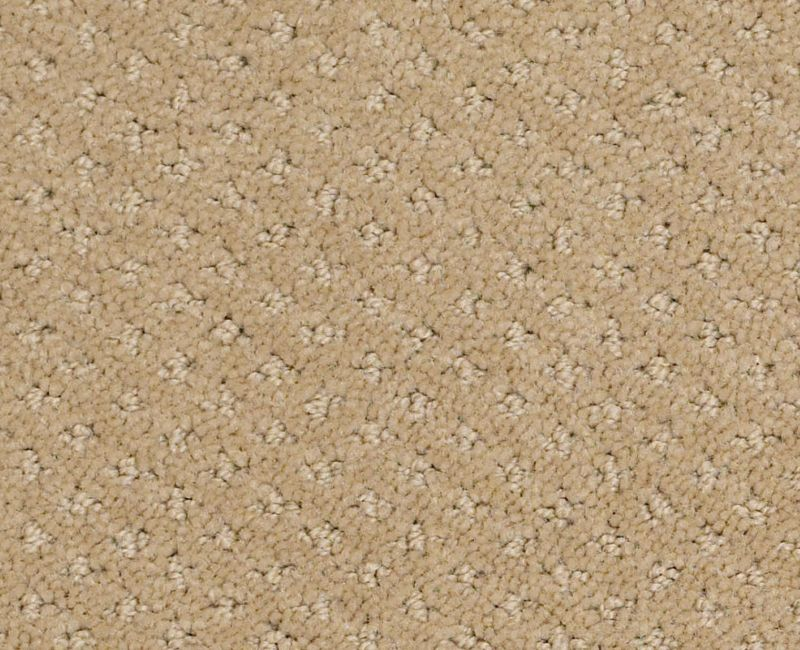 Shaw First Beginning 00701 Natural Wood Pattern Nylon Carpet — Stone ...