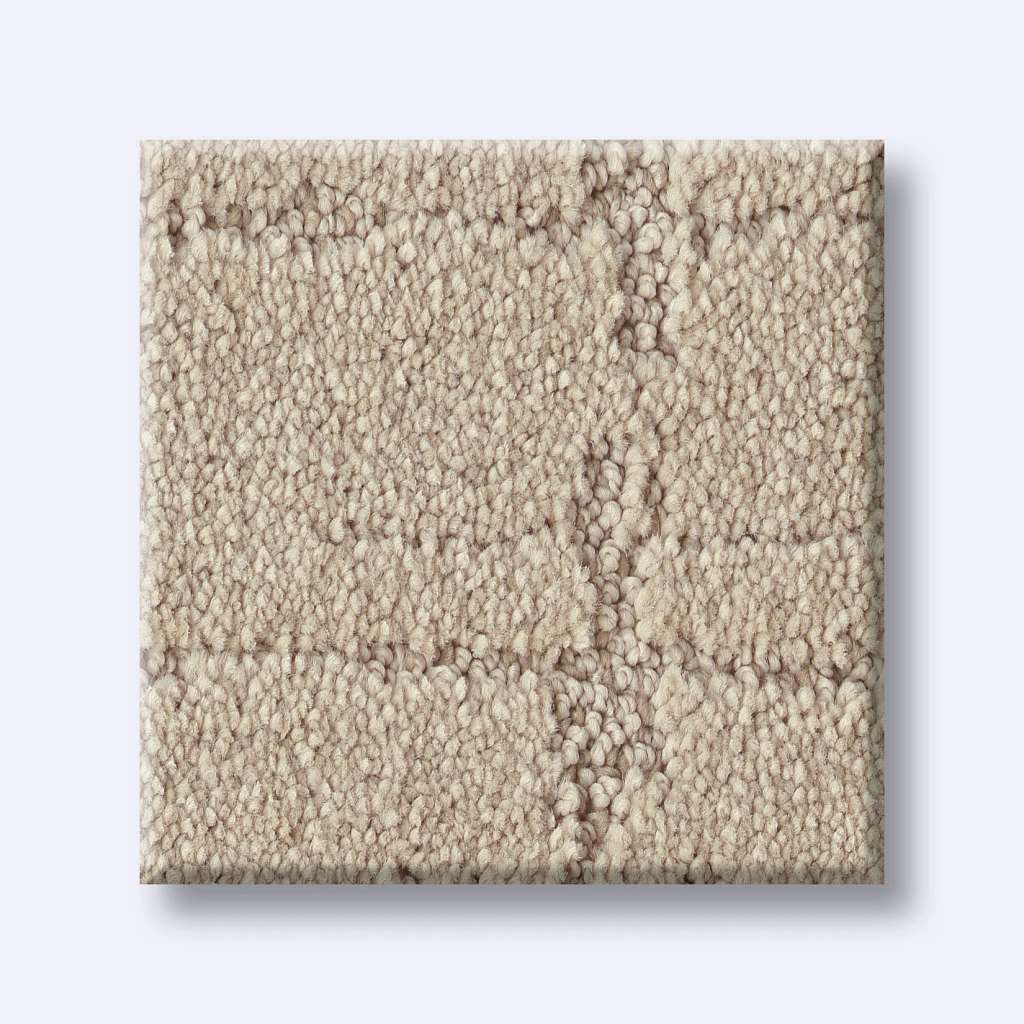 Shaw Caress By Shaw Rustique Vibe 00721 Natural Beauty Nylon Carpet ...