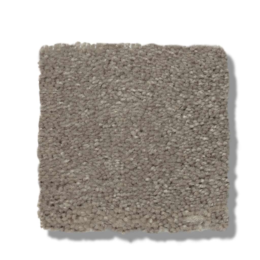 Shaw Simply the Best Values Solidify I 15' 00104 Natural Contour Carpet ...