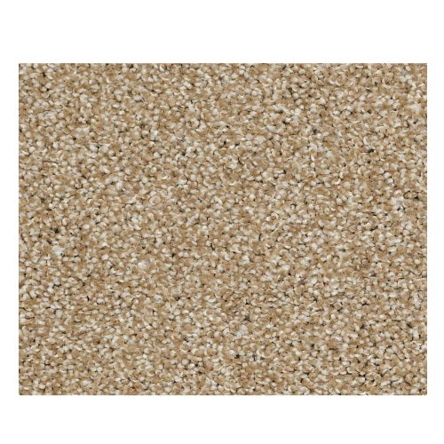Shaw Striking 00701 Natural Wood Textured Nylon Carpet | Lowest Price ...