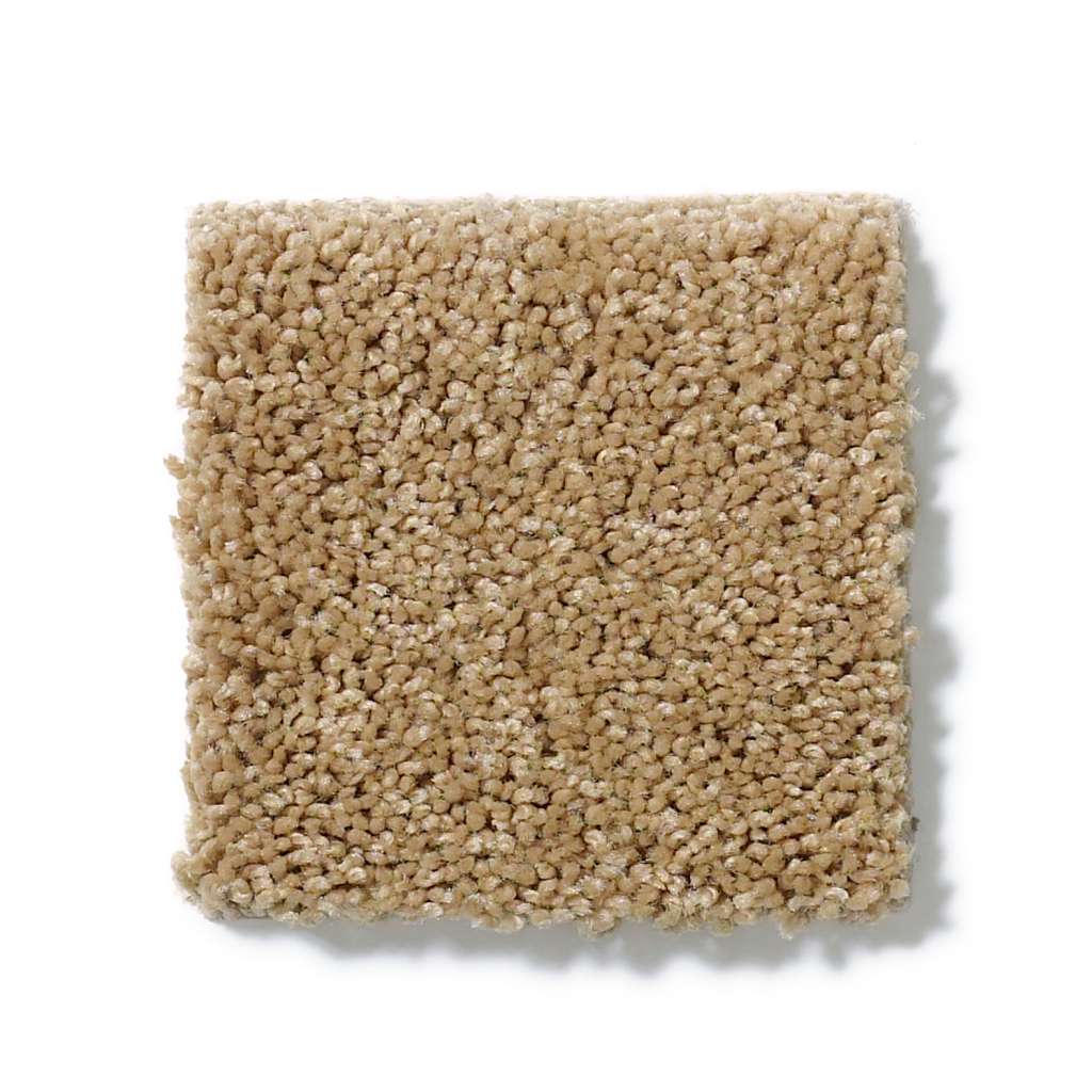 Shaw Origins 00701 Natural Wood Textured Nylon Carpet | Lowest Price ...