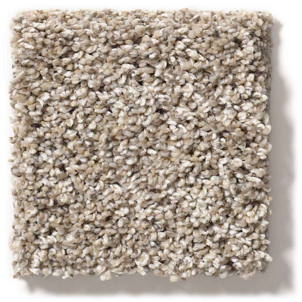 Shaw Simply The Best After It I 00101 Neutral Ground Polyester Carpet ...