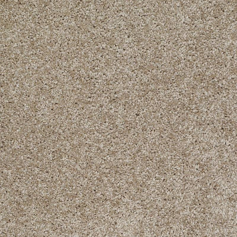 Shaw Adam's Choice (S) 00711 Northern Cliffs Textured Nylon Carpet ...