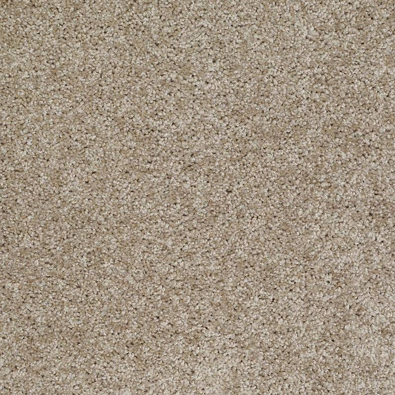 Shaw Adam's Choice (S) 00711 Northern Cliffs Textured Nylon Carpet ...