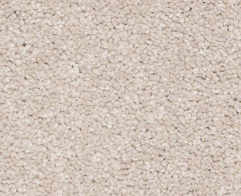 Shaw Bright Spirit II 12' 00104 Oatmeal Textured Nylon Carpet — Stone ...