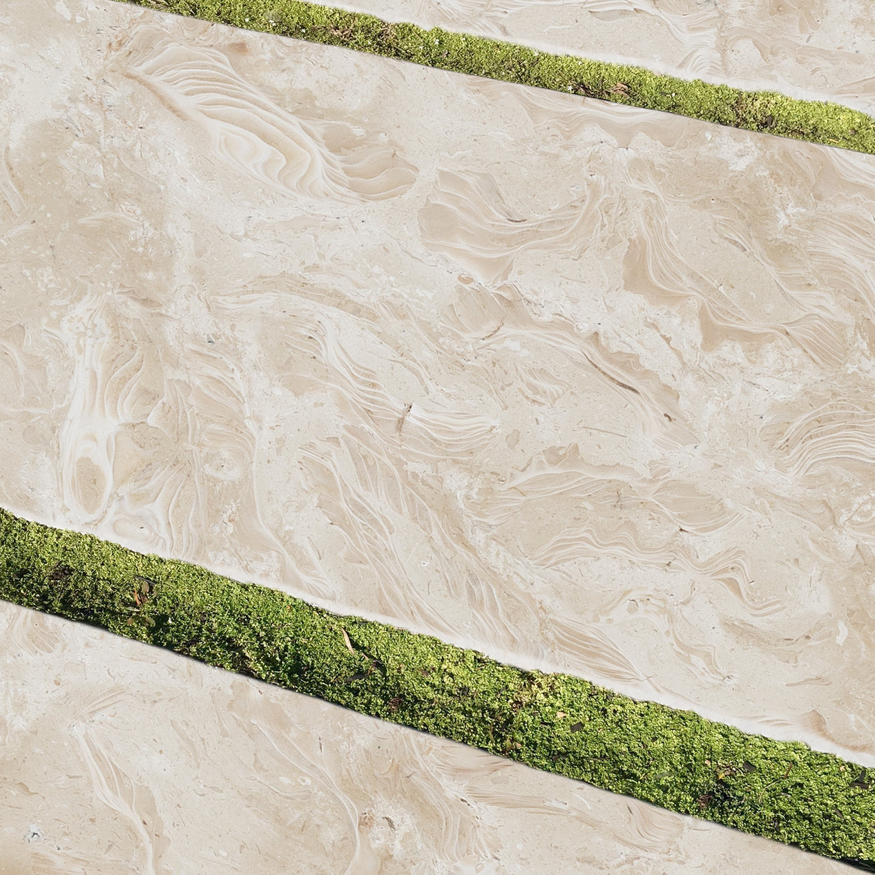 Ocean Reef Shellstone Brushed Limestone Paver | Lowest Price — Stone ...