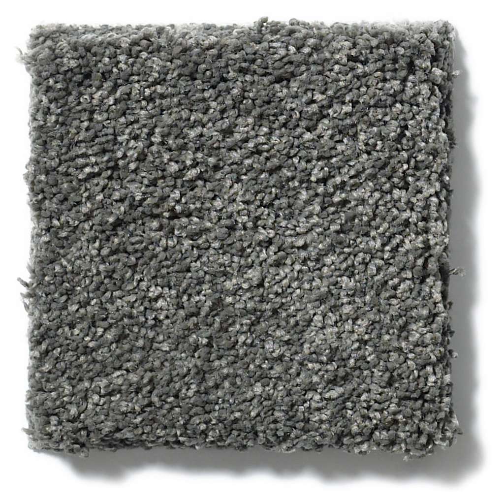 Shaw Caress By Shaw Quiet Comfort Classic IV 00528 Onyx Nylon Carpet ...