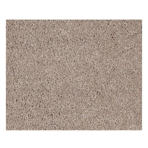 Shaw Simply Soft I 00901 Oxford Textured Nylon Carpet | Lowest Price ...