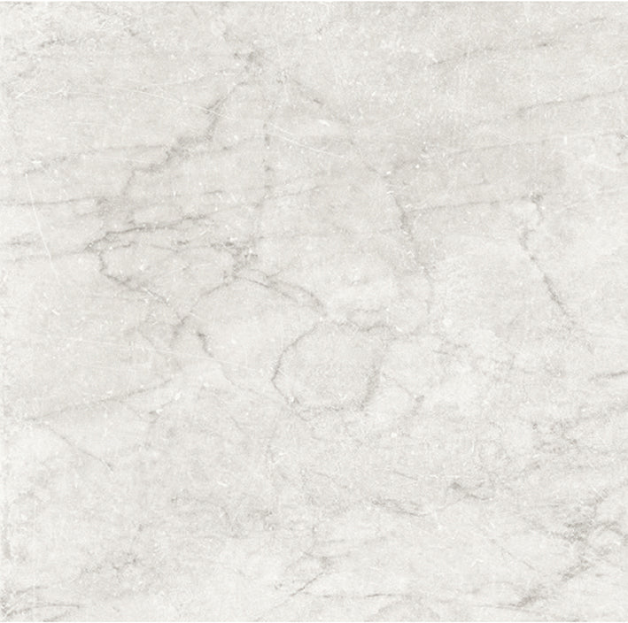 Campogalliano Centuries Pisa Matte Porcelain Tile | Lowest Price ...