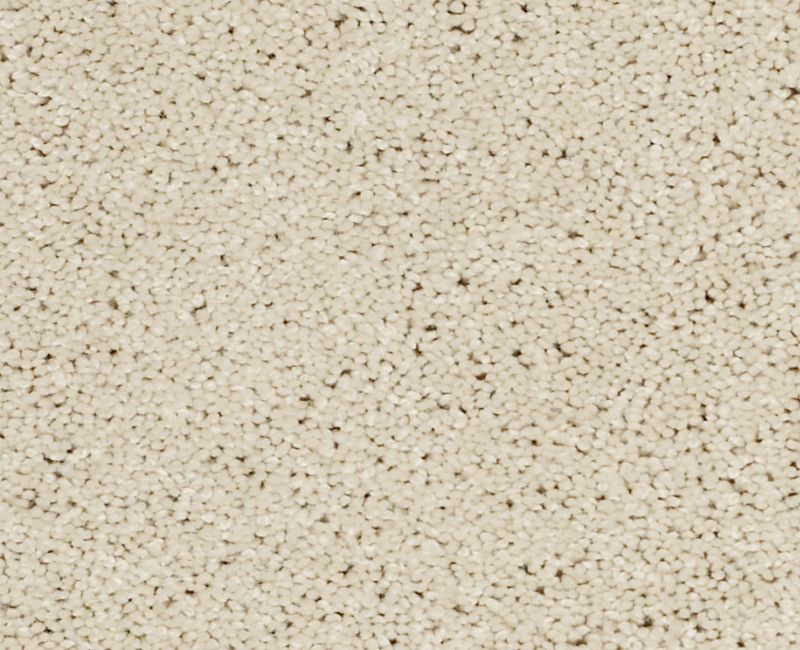 Shaw Playa Blanca 00121 Pale Cream Textured Nylon Carpet — Stone & Tile ...