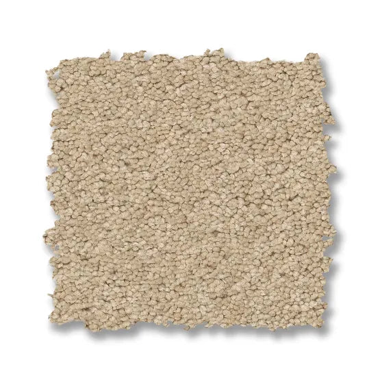 Anderson Tuftex Enchanting 00222 Papyrus Nylon Carpet — Stone & Tile ...