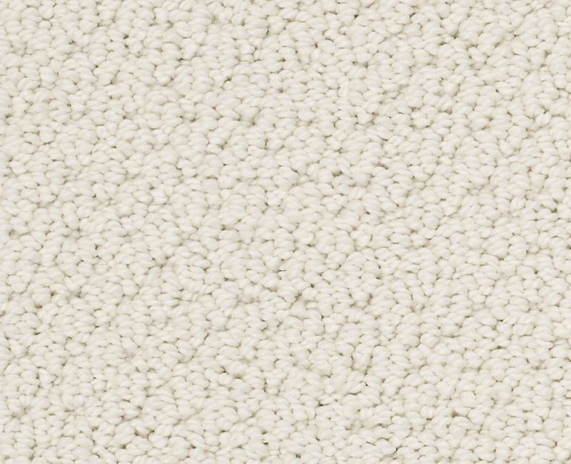 Shaw Playa Azul II 00194 Parchment Loop Nylon Carpet | Lowest Price ...