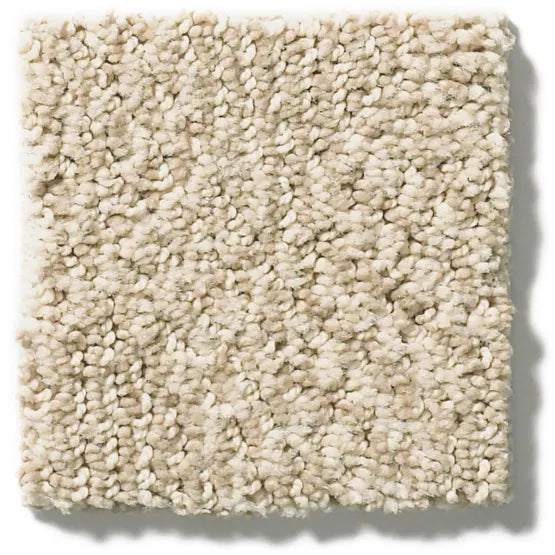 Anderson Tuftex Ario 00114 Parchment Nylon Carpet — Stone & Tile Shoppe ...