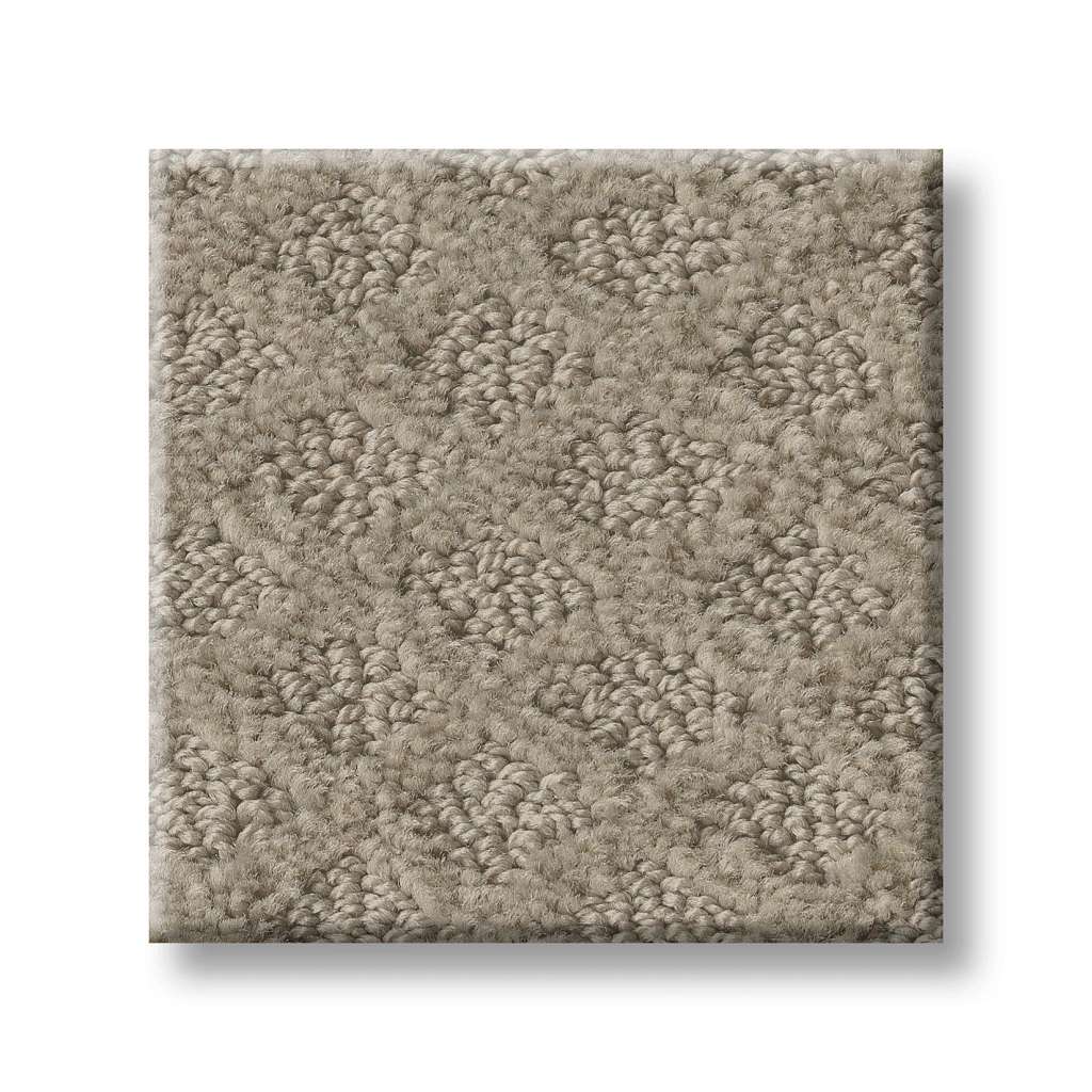 Shaw Foundations Entwined With You 00770 Park Avenue Nylon Carpet ...