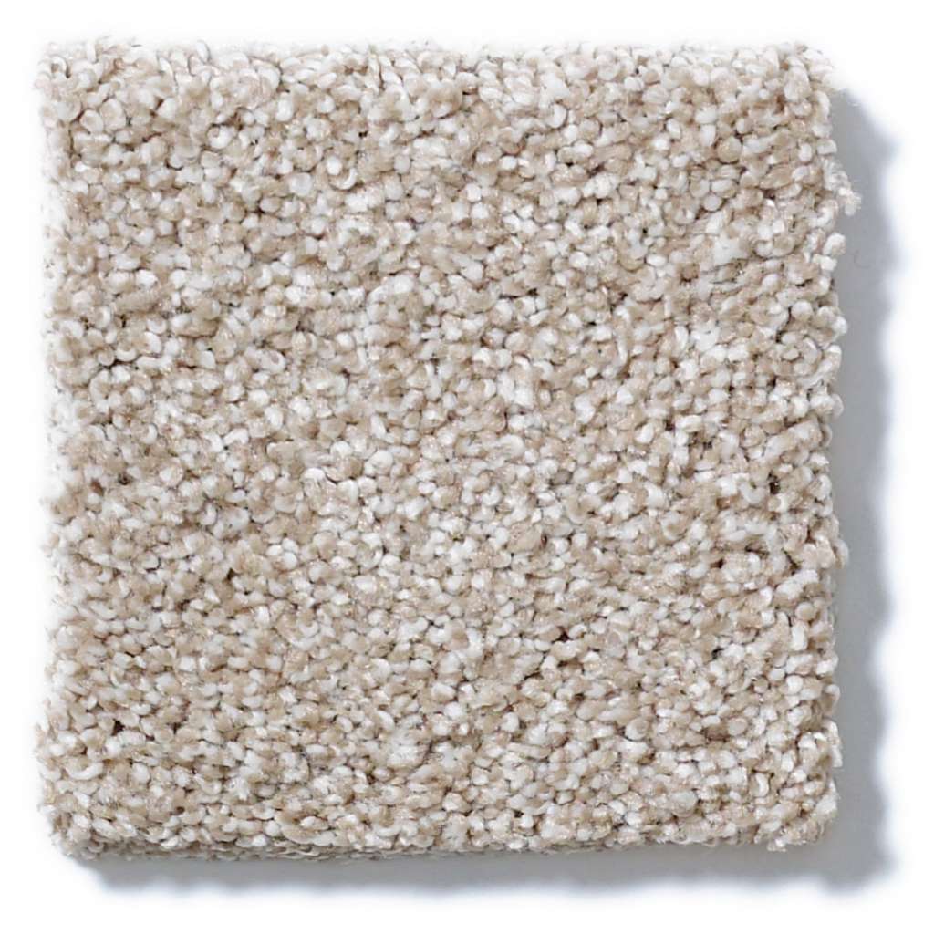 Shaw Foundations Always Ready II 00192 Park Place Nylon Carpet — Stone ...