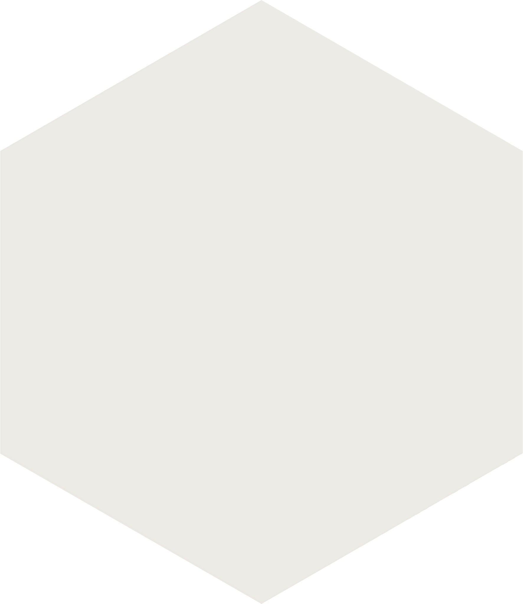 Arizona Tile | Stone & Tile Shoppe