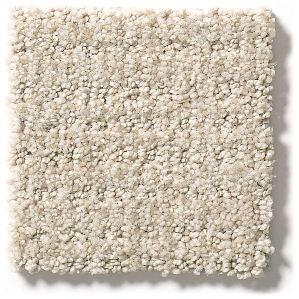 Shaw Foundations Sensible Now 00177 Passageway Pattern Nylon Carpet ...
