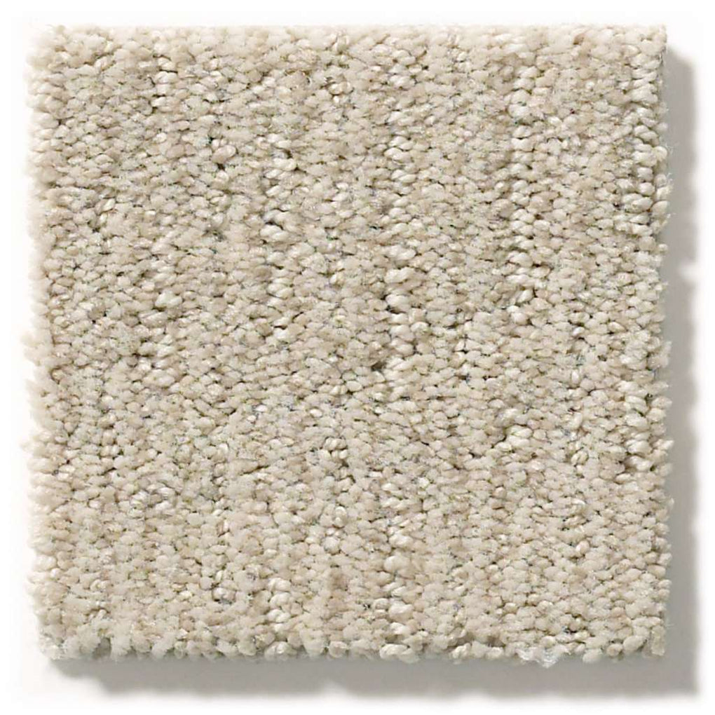 Shaw Foundations Insightful Way 00177 Passageway Pattern Nylon Carpet ...