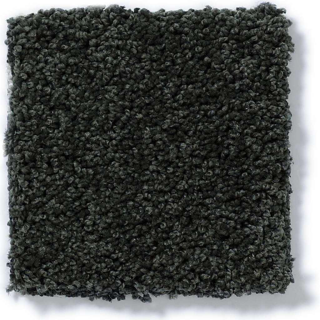 Shaw Soft Shades My Choice II 00352 Peaceful Garden Nylon Carpet ...