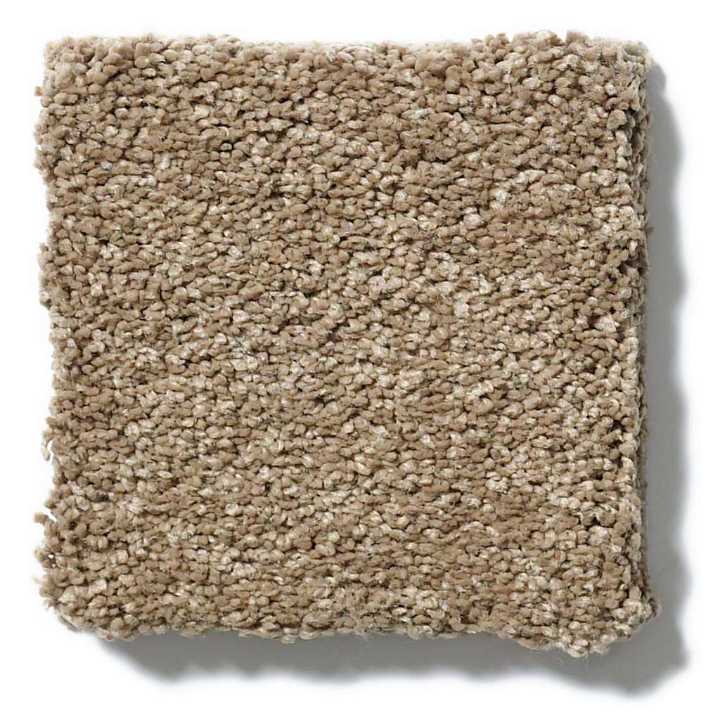 Shaw Caress By Shaw Quiet Comfort Classic IV 00722 Pebble Path Carpet ...