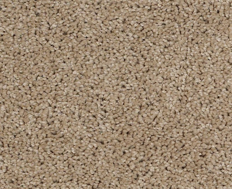 Shaw In A Twinkling 25703 Pebble Path Textured Nylon Carpet — Stone ...