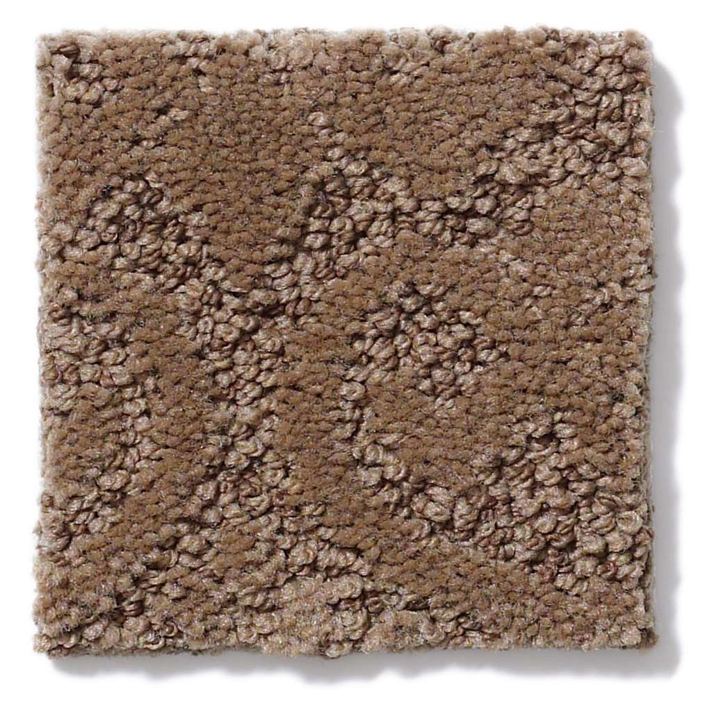 Shaw Caress By Shaw Modern Amenities 00722 Pebble Path Nylon Carpet ...