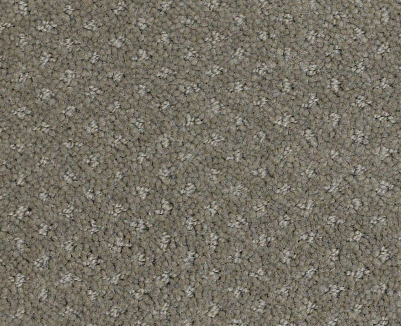 Shaw Gentle PV 00513 Pewter Pattern Nylon Carpet | Lowest Price — Stone ...